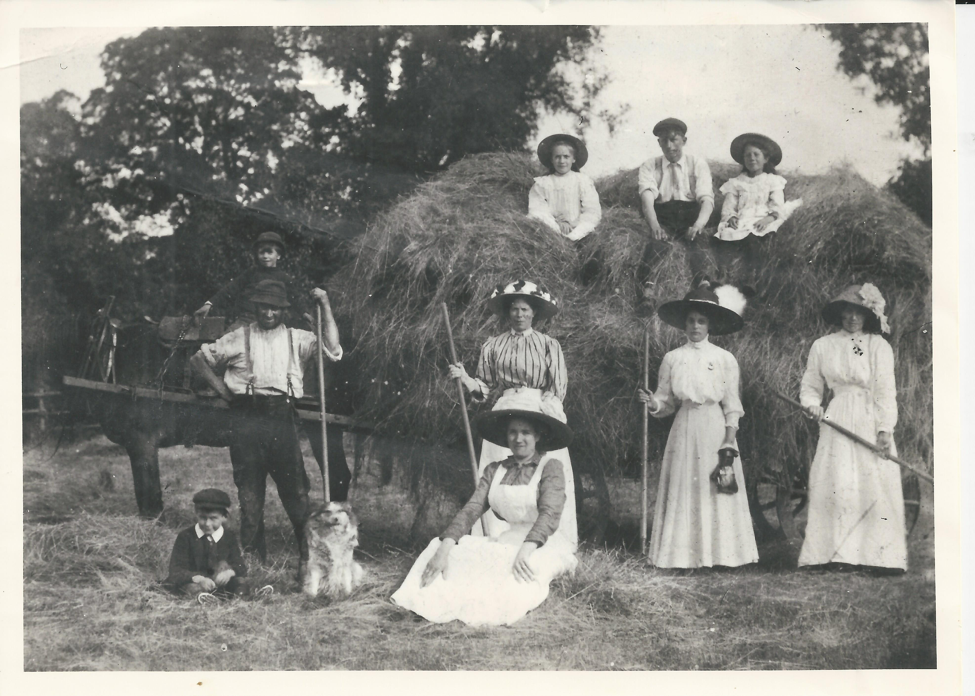 Gill - A Short History of Micheldever Parish